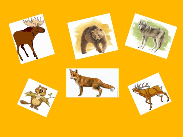 Wild Animals Free Activities online for kids in 5th grade by Inga-Lill ...