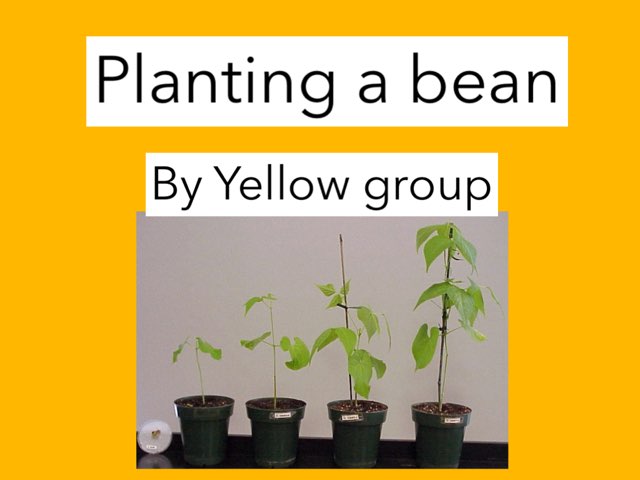 Yellow Group Free Games online for kids in Pre-K by Emma Kennedy