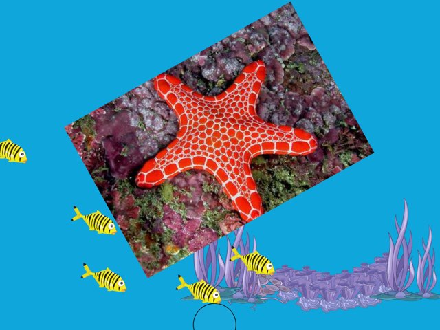 lr Under The Sea Free Activities online for kids in Kindergarten by Al ...